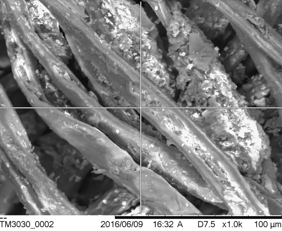 Peter Paul Biro: Forensic Studies in Art